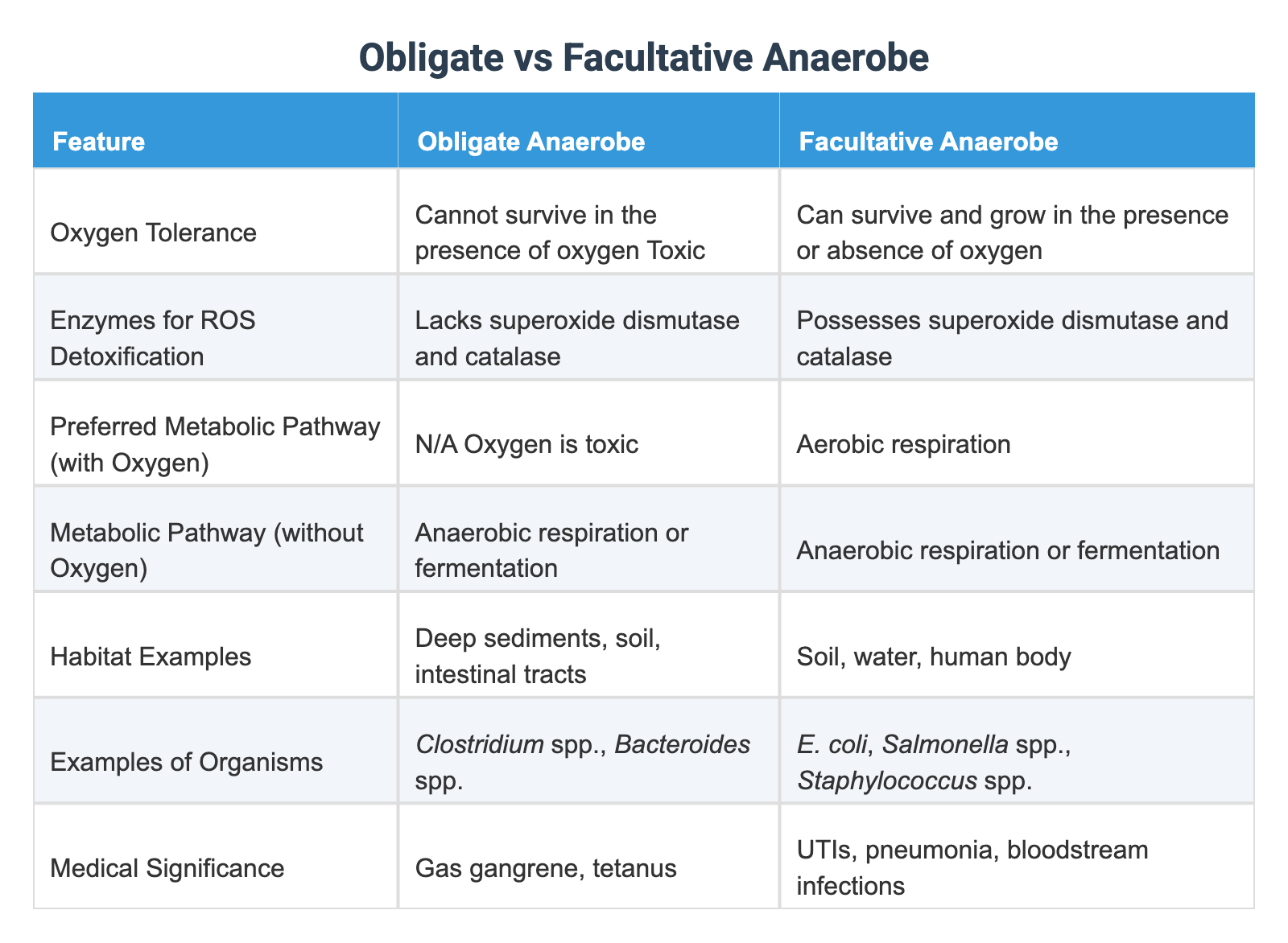 Obligate vs Facultative Anaerobe