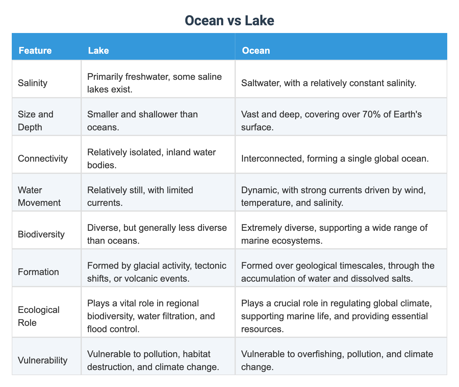 Ocean vs Lake