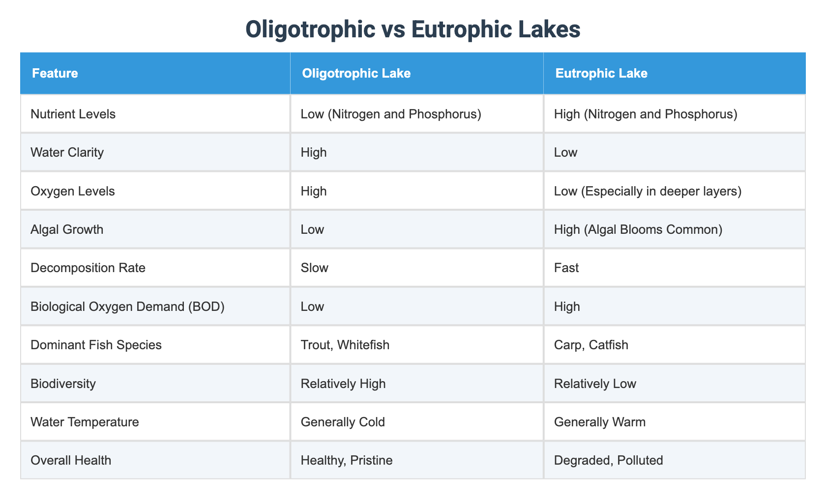 Oligotrophic vs Eutrophic Lakes