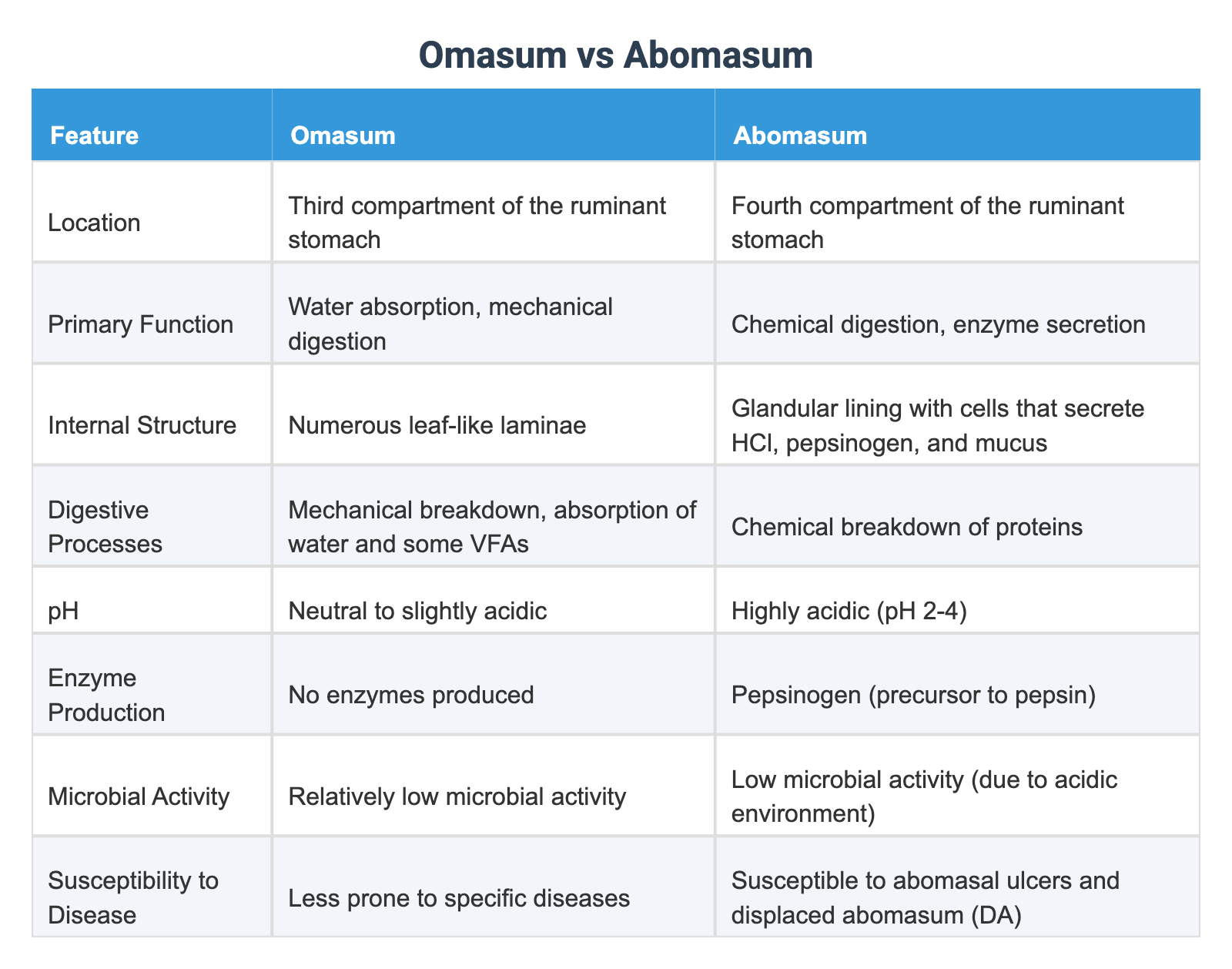 Omasum vs Abomasum