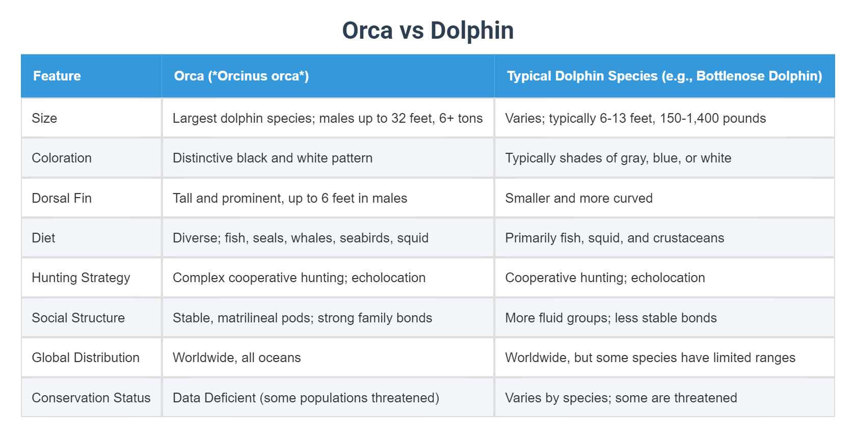 Orca vs Dolphin