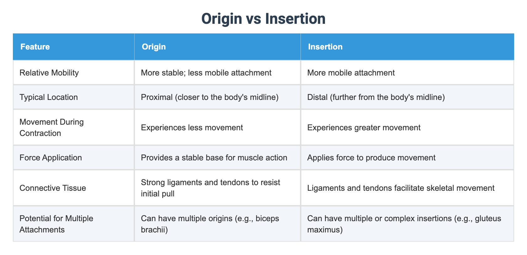 Origin vs Insertion