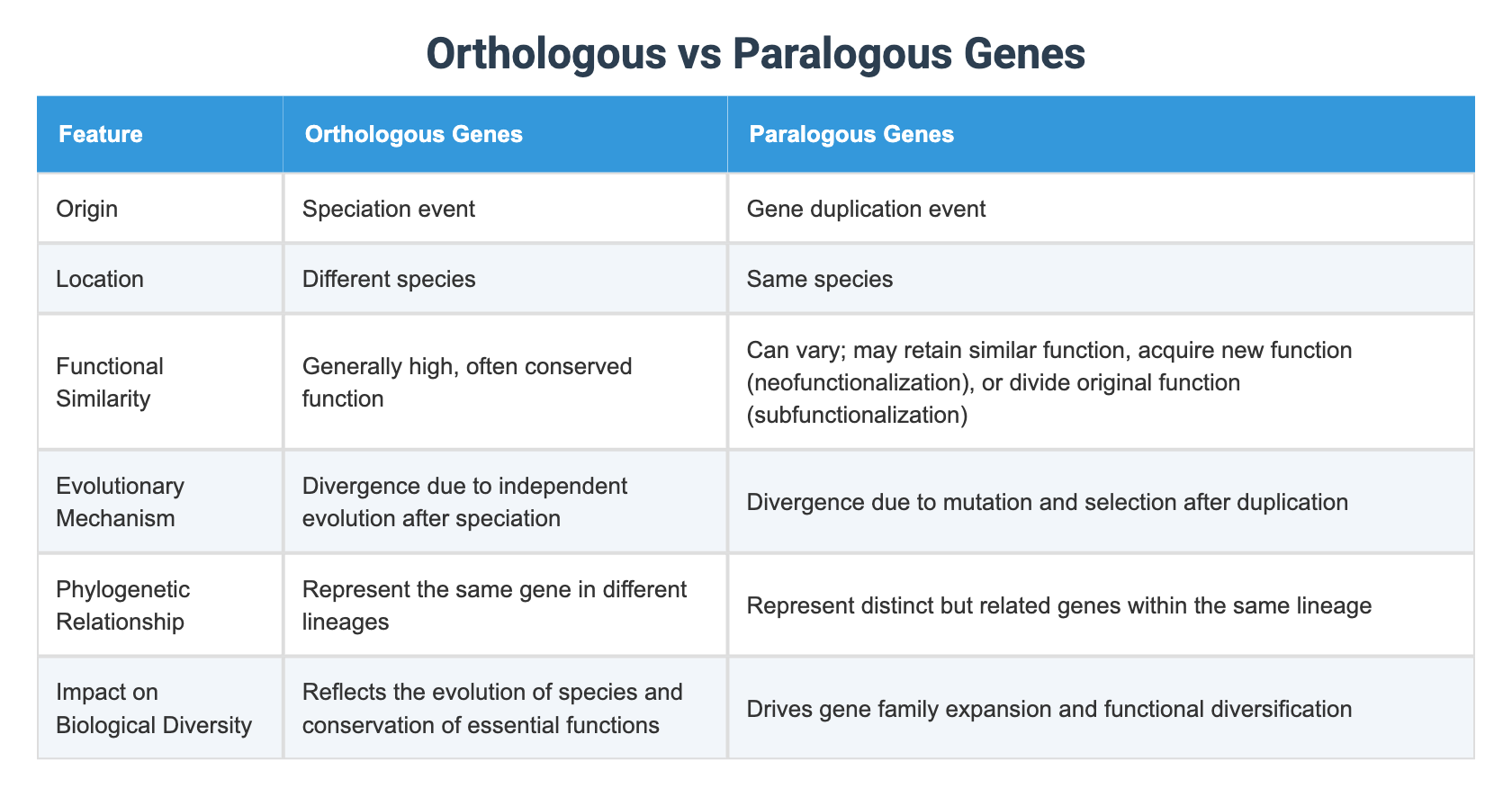 Orthologous vs Paralogous Genes