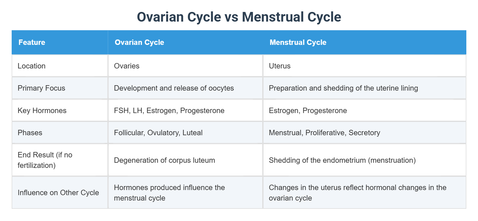 Ovarian Cycle vs Menstrual Cycle