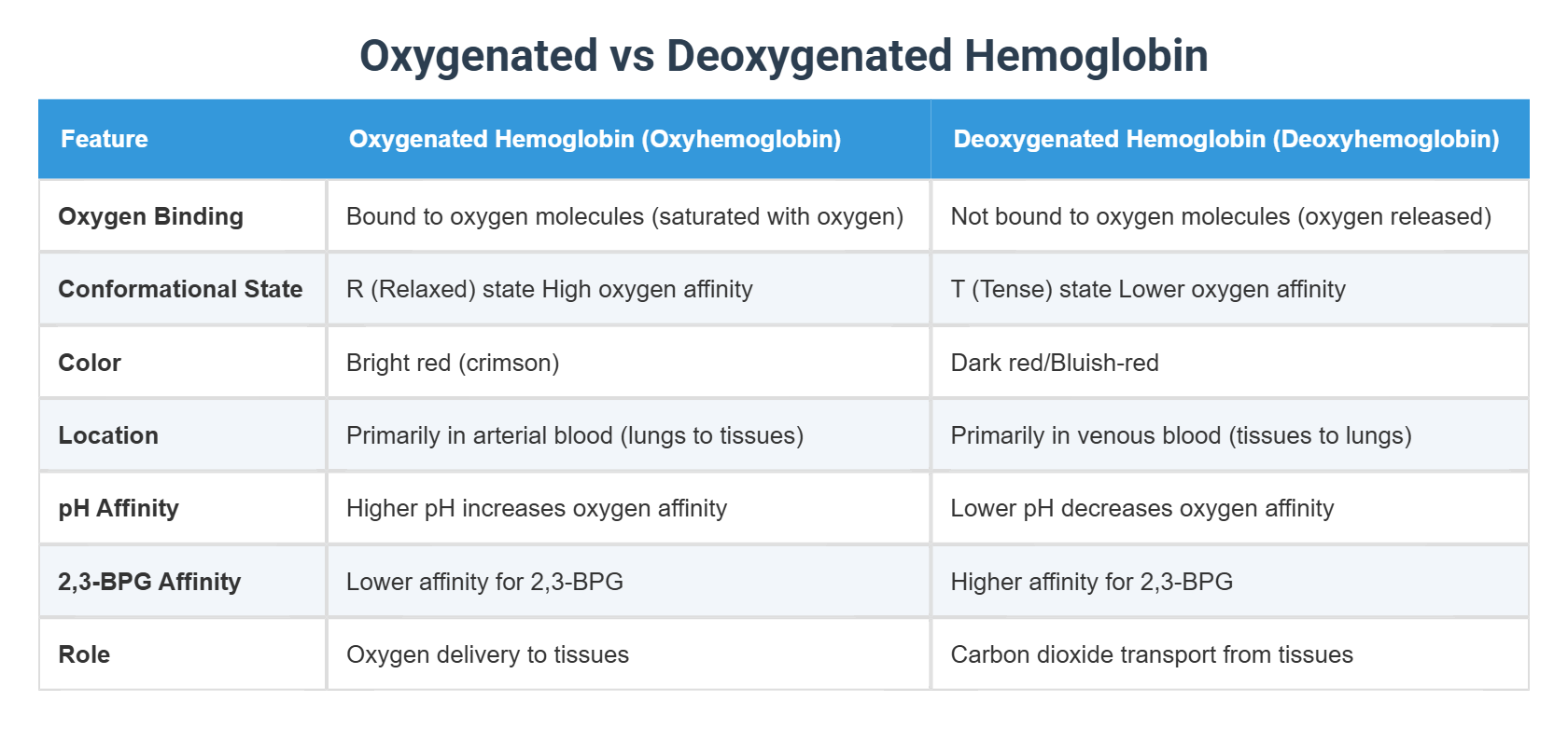 Oxygenated vs Deoxygenated Hemoglobin
