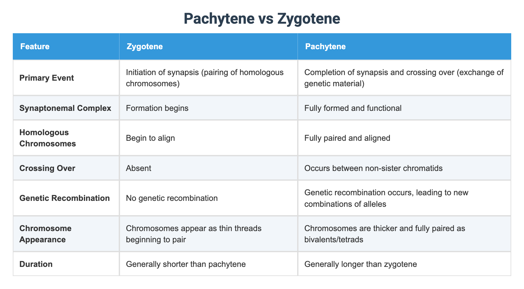 Pachytene vs Zygotene