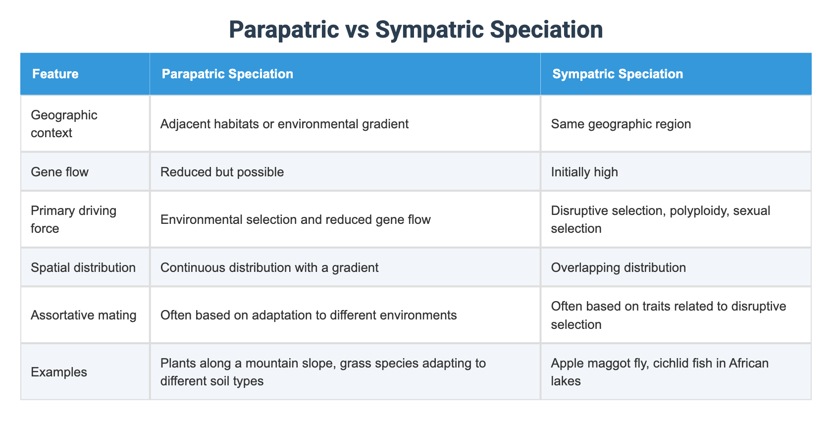 Parapatric vs Sympatric Speciation