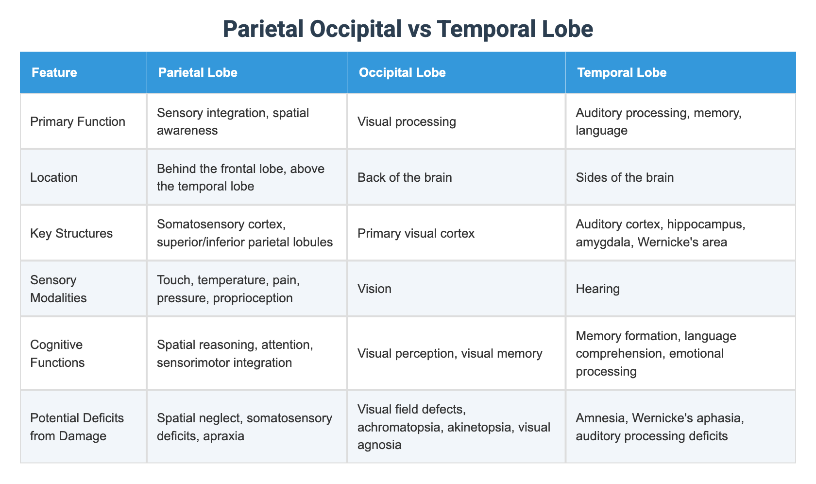 Parietal Occipital vs Temporal Lobe