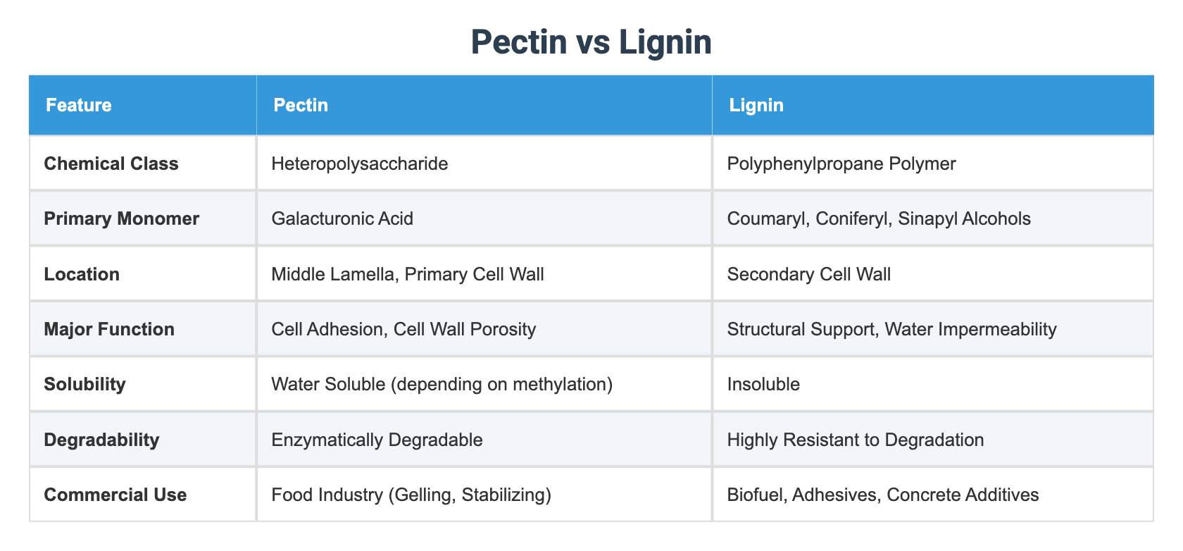 Pectin vs Lignin