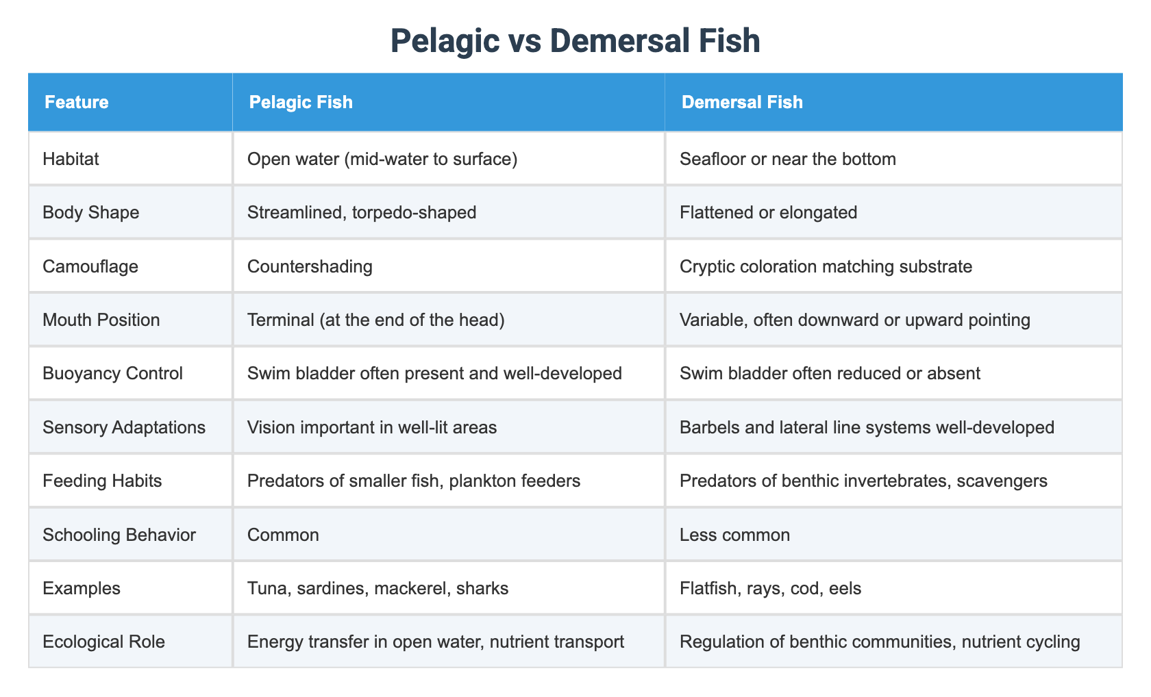 Pelagic vs Demersal Fish