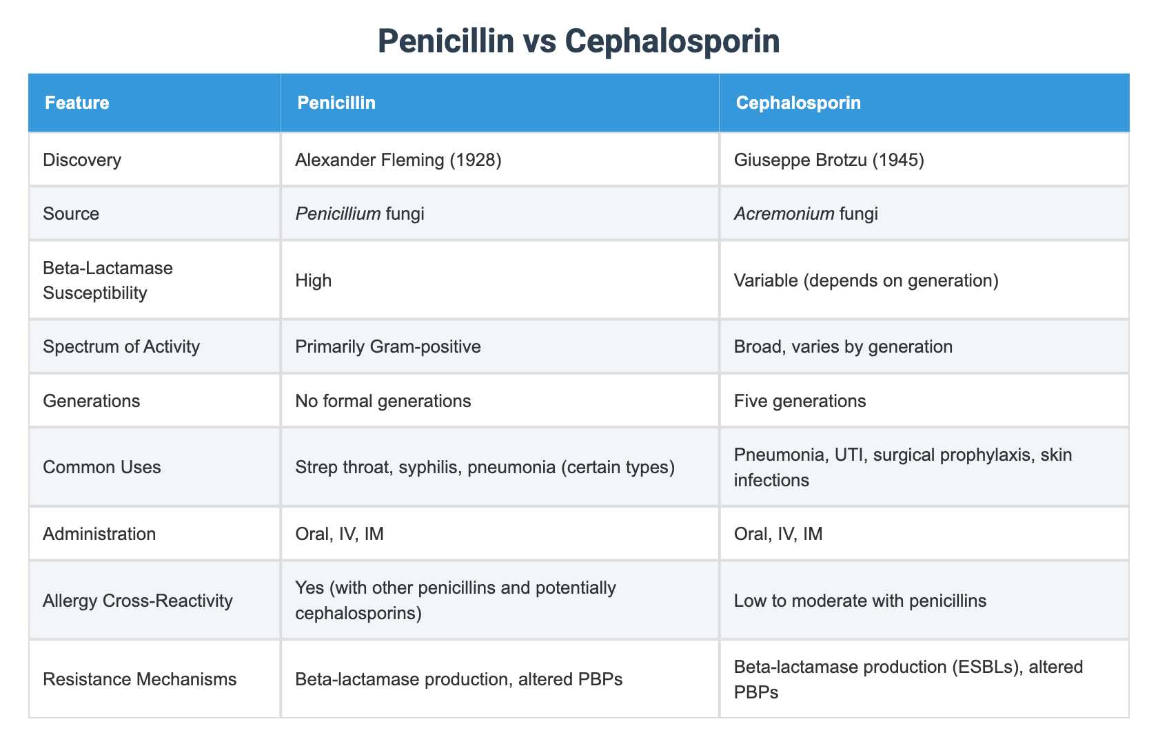 Penicillin vs Cephalosporin