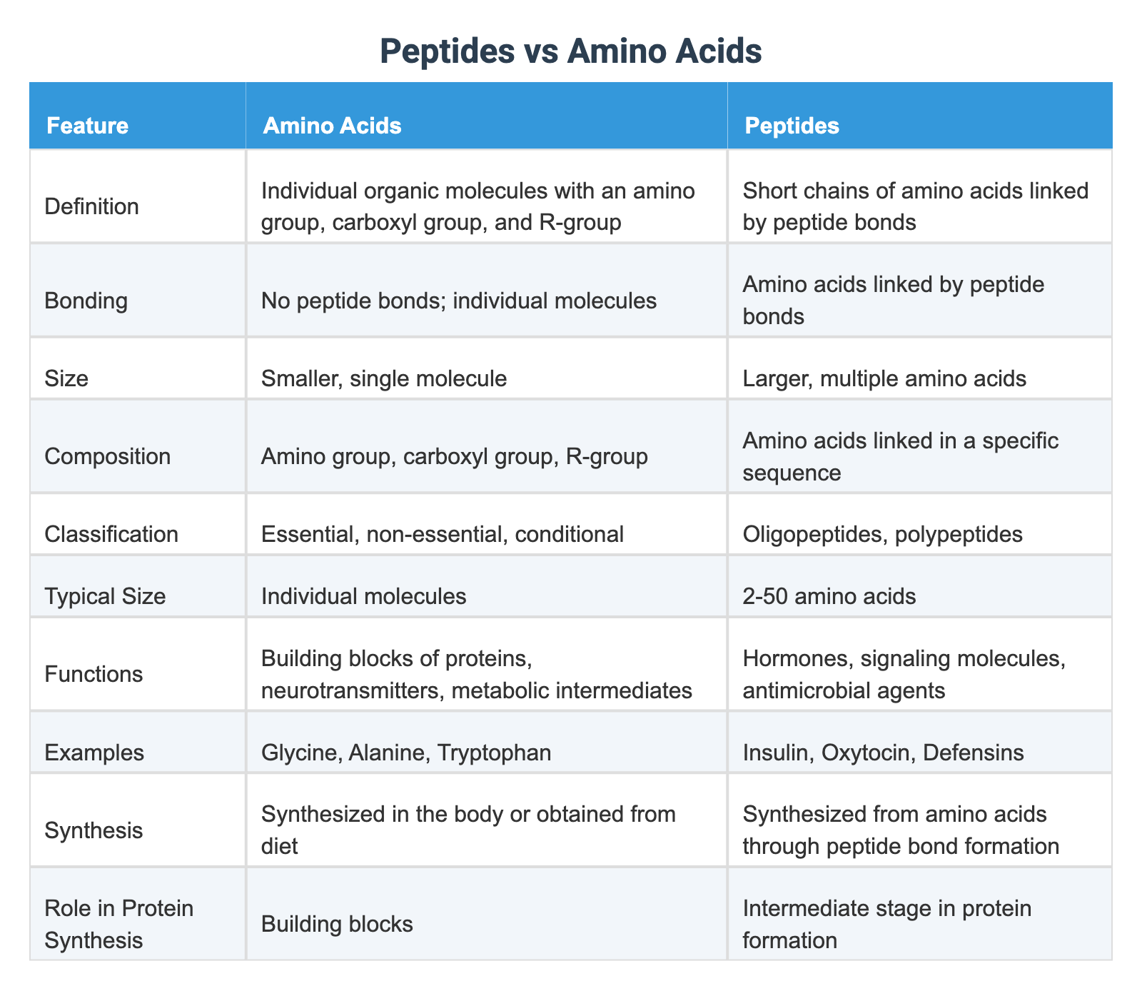 Peptides vs Amino Acids