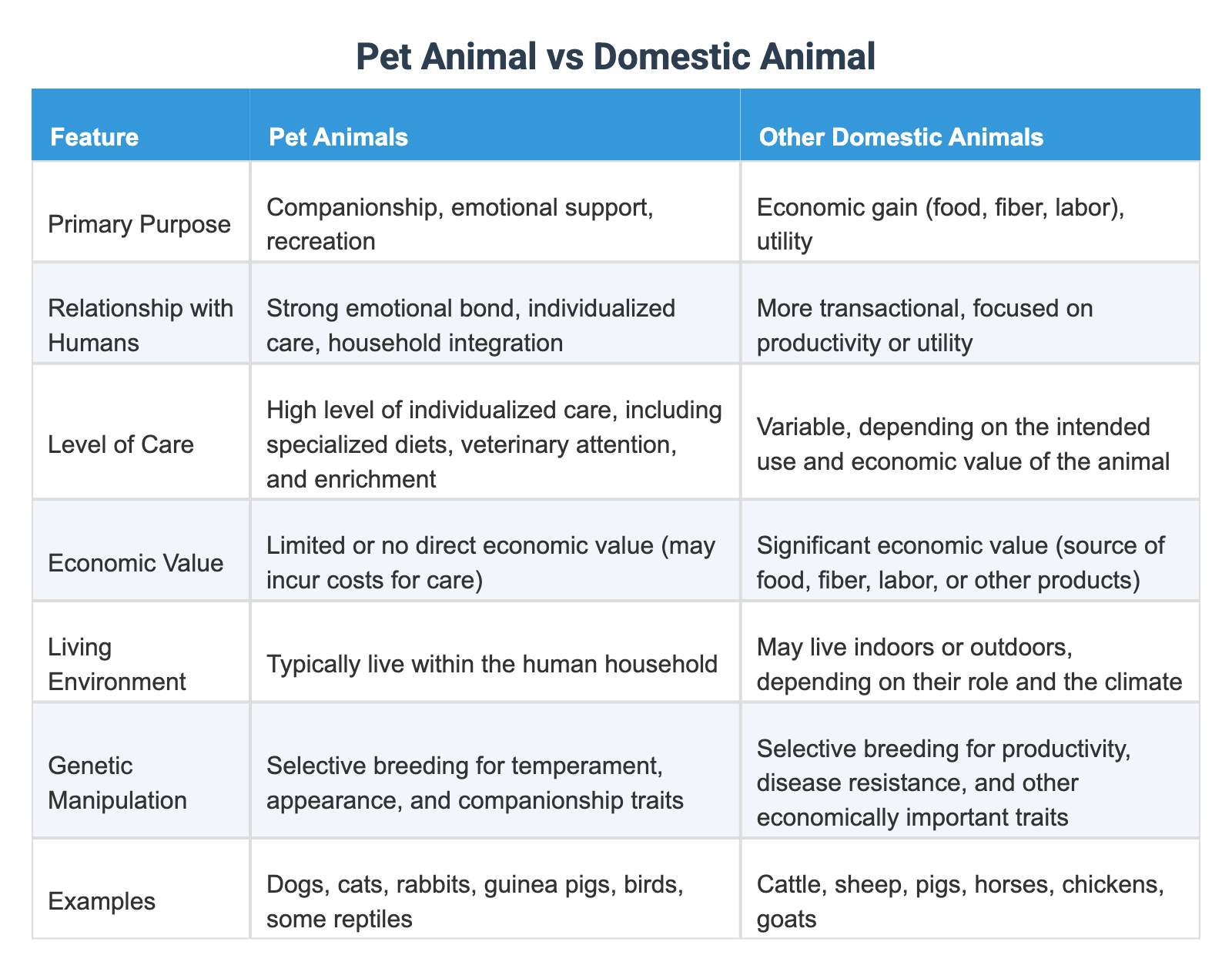 Pet Animal vs Domestic Animal