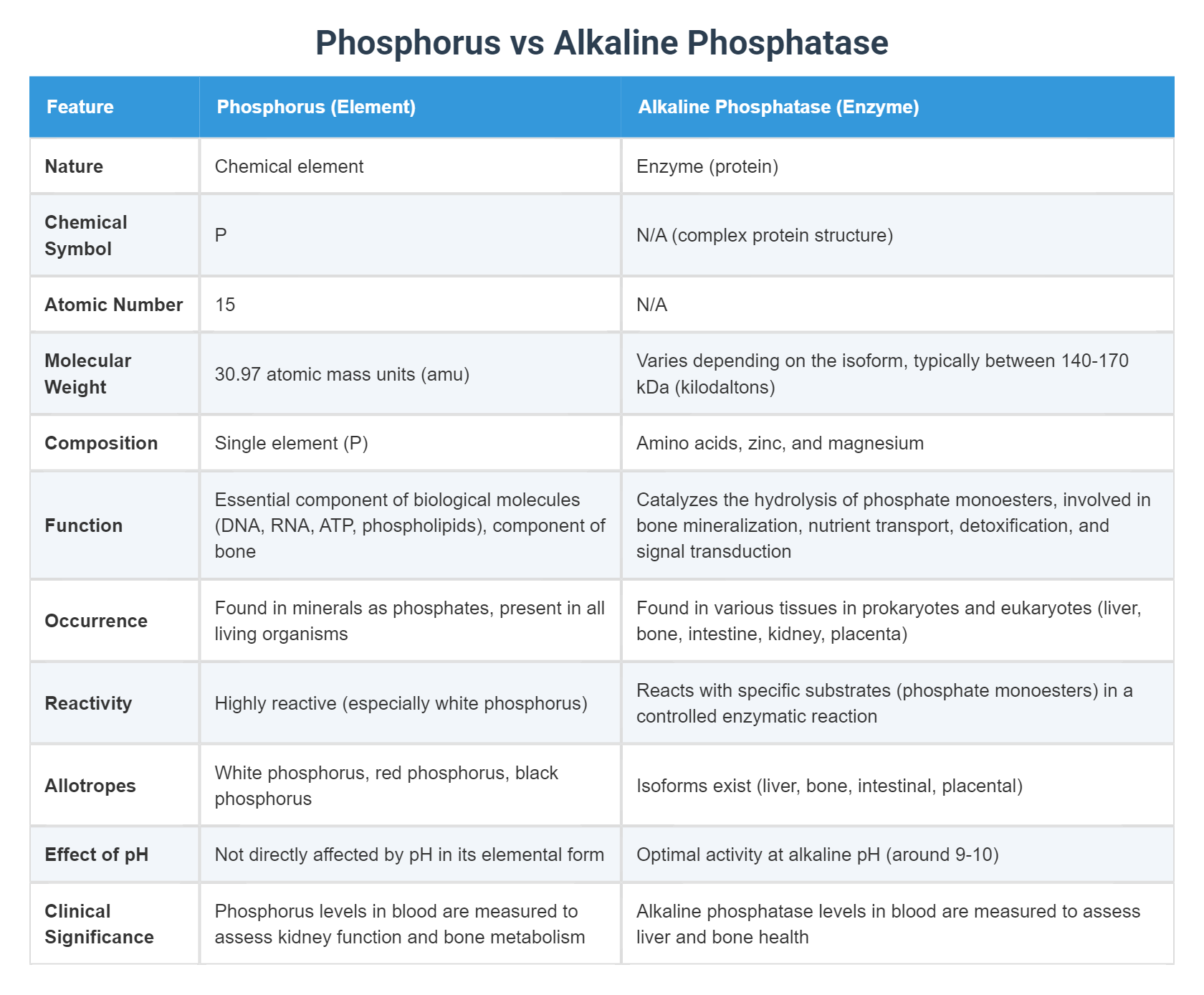 Phosphorus vs Alkaline Phosphatase