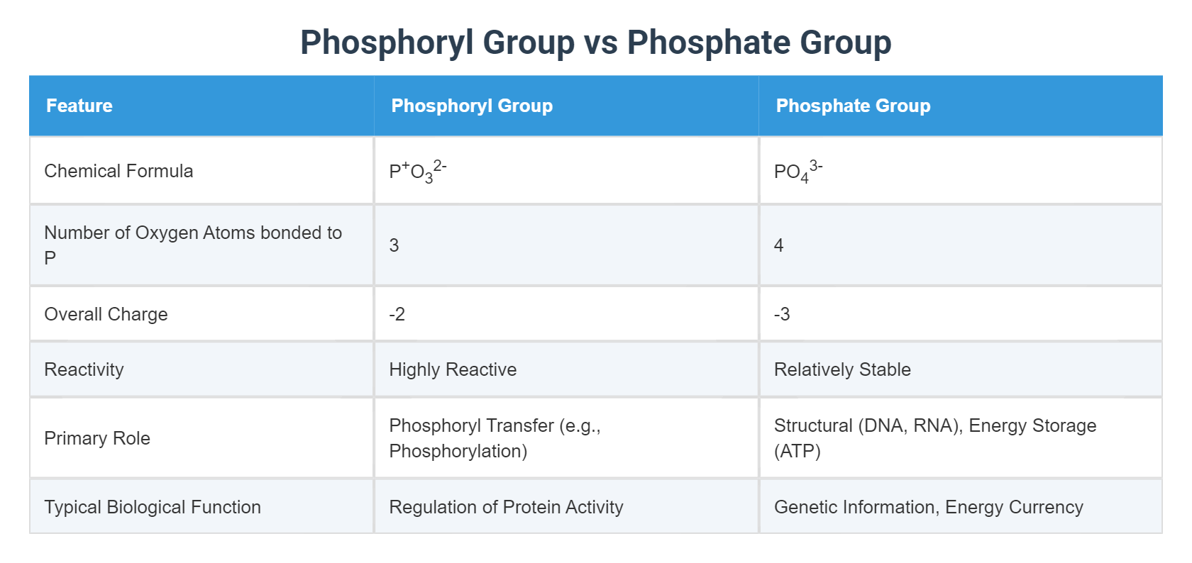 Phosphoryl Group vs Phosphate Group