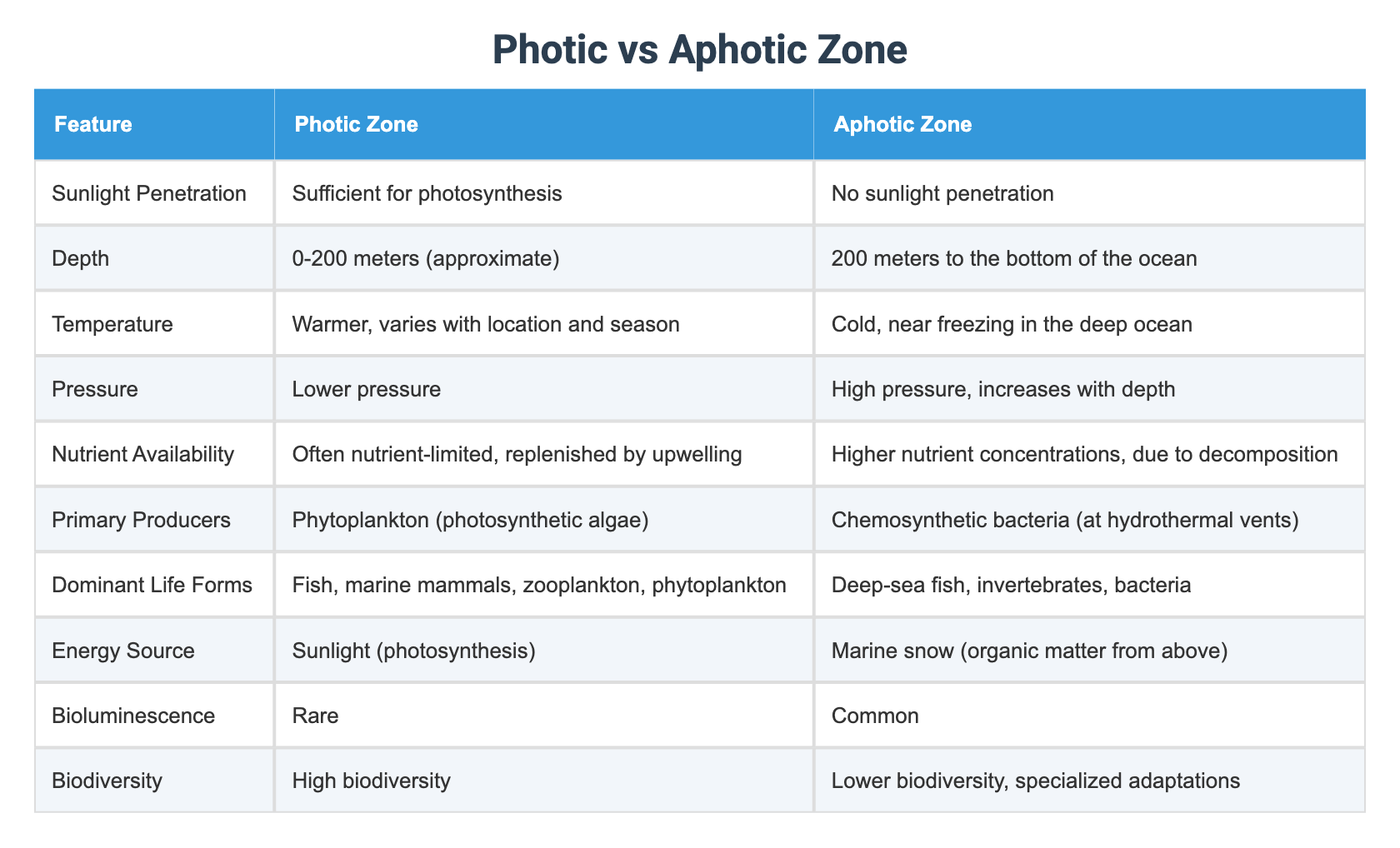 Photic vs Aphotic Zone