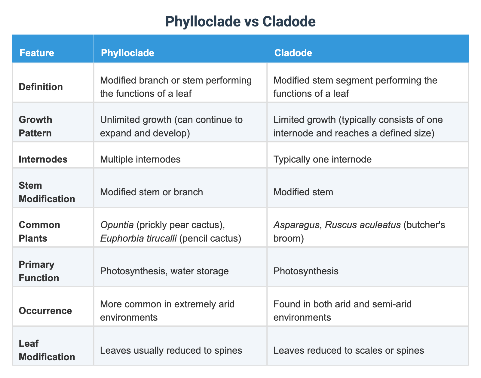 Phylloclade vs Cladode
