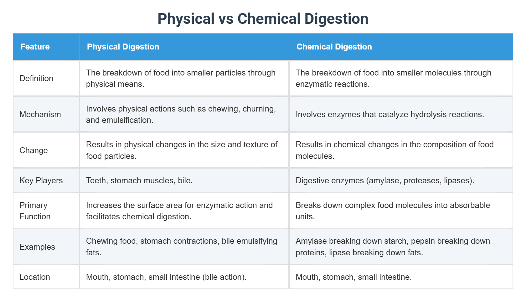 Physical vs Chemical Digestion