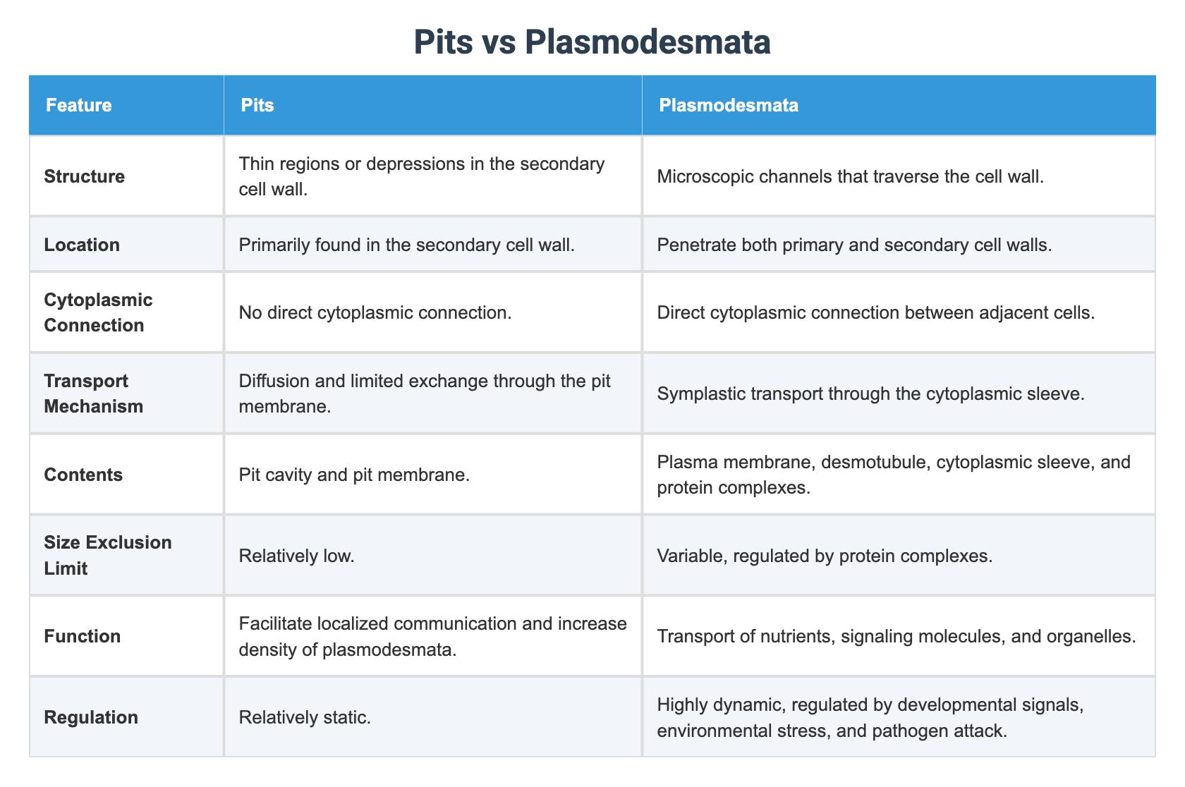 Pits vs Plasmodesmata