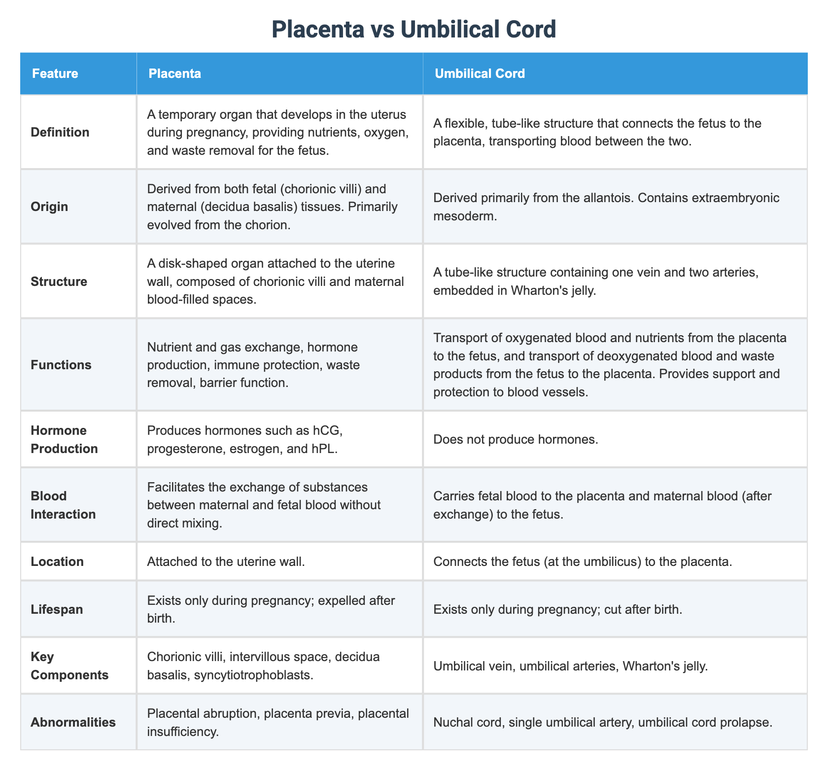 Placenta vs Umbilical Cord