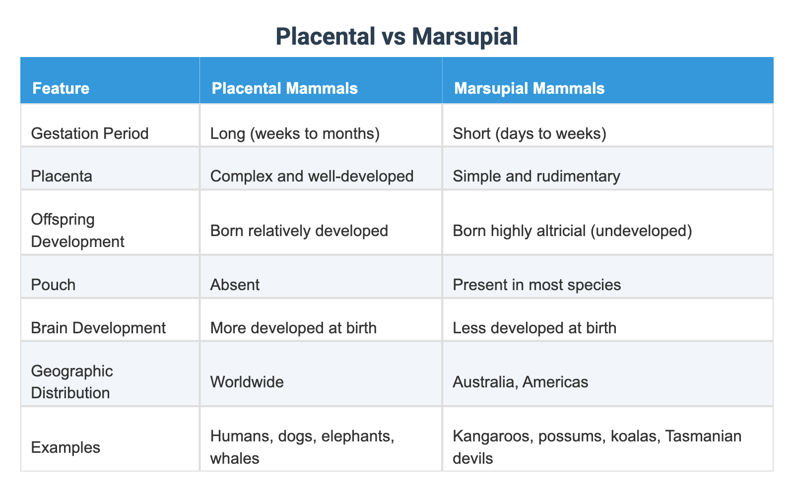 Placental vs Marsupial