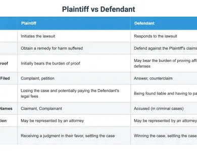 Defendant vs Accused