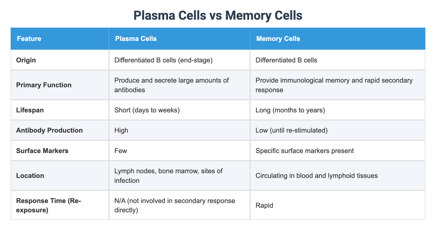 Plasma Cells vs Memory Cells