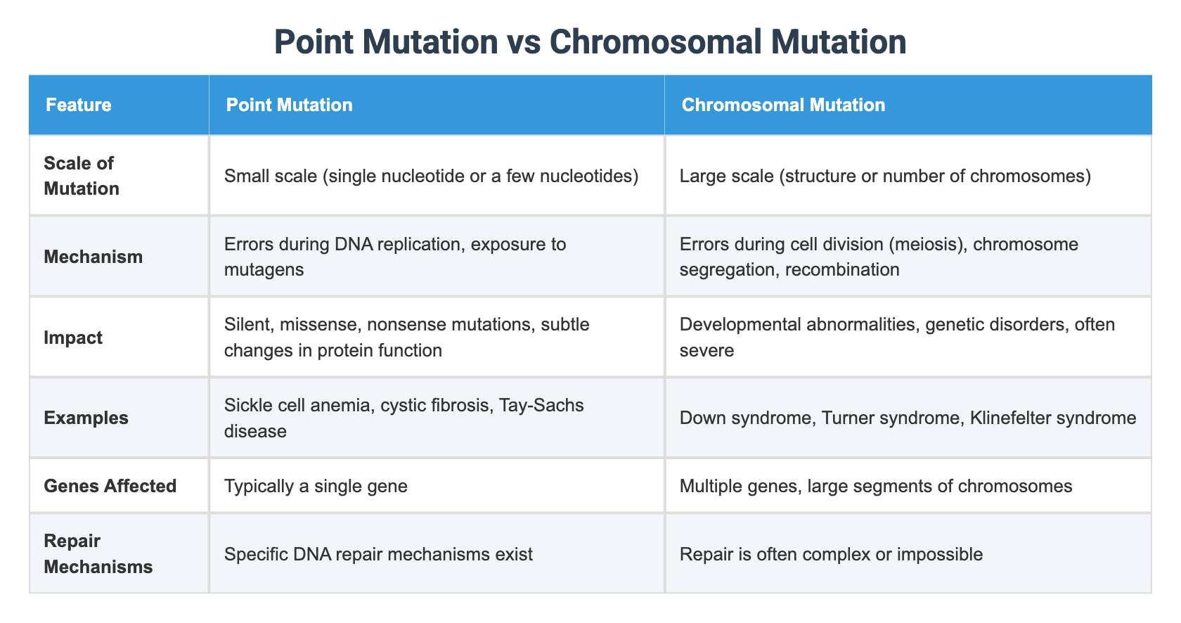 Point Mutation vs Chromosomal Mutation