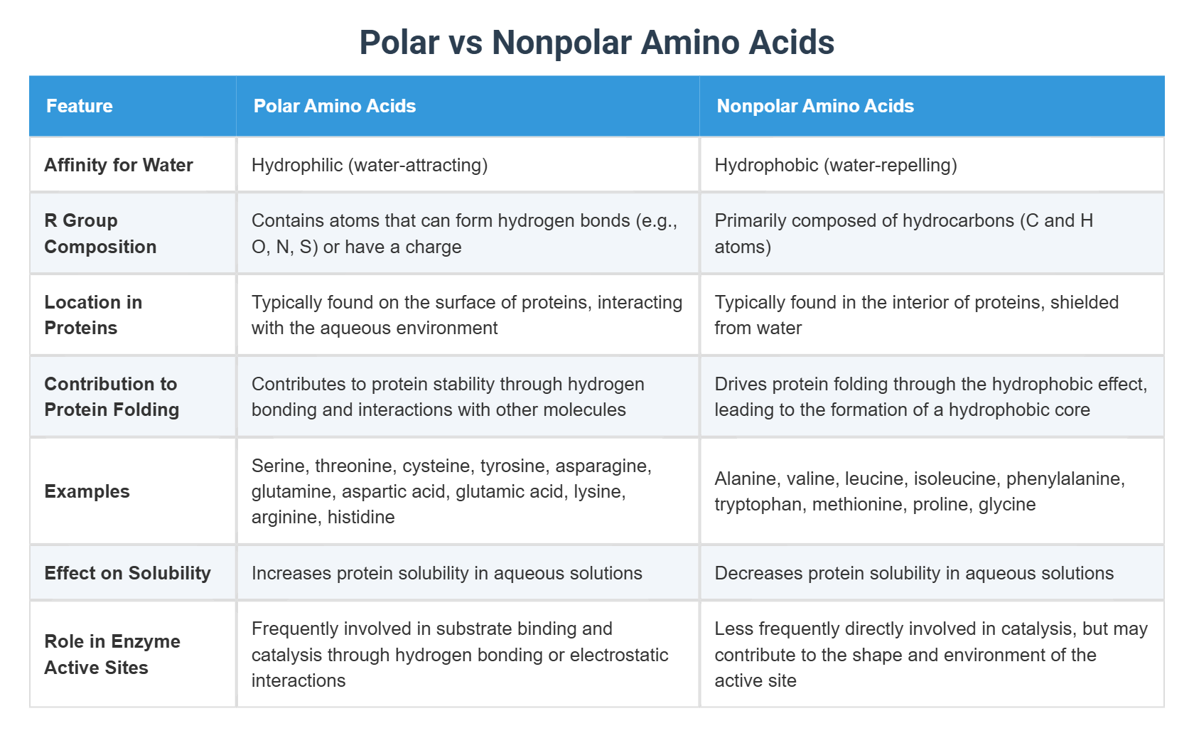 Polar vs Nonpolar Amino Acids