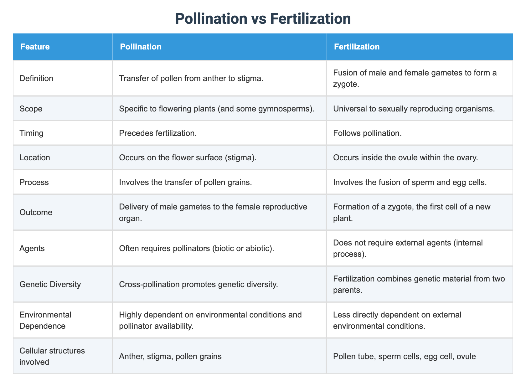 Pollination vs Fertilization