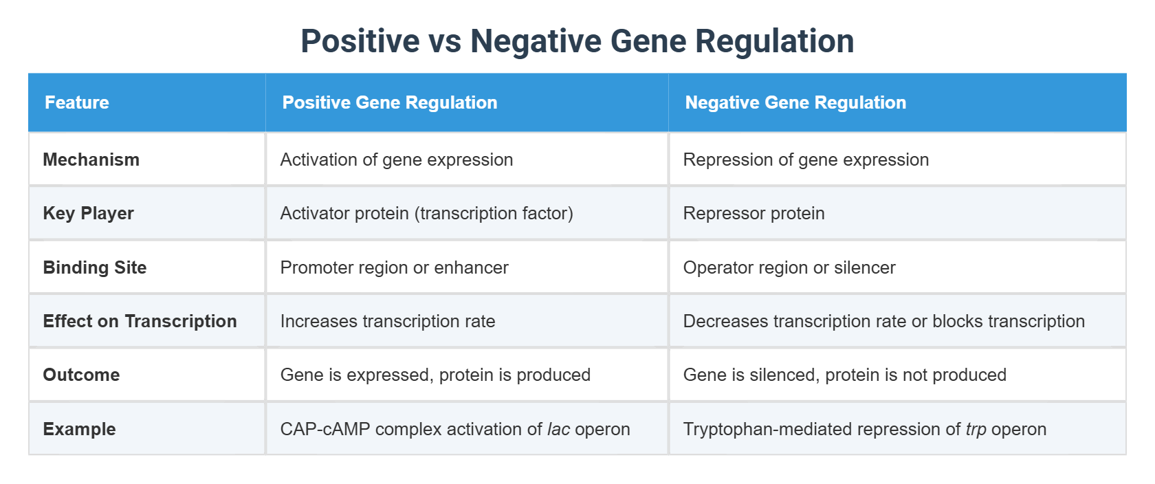 Positive vs Negative Gene Regulation