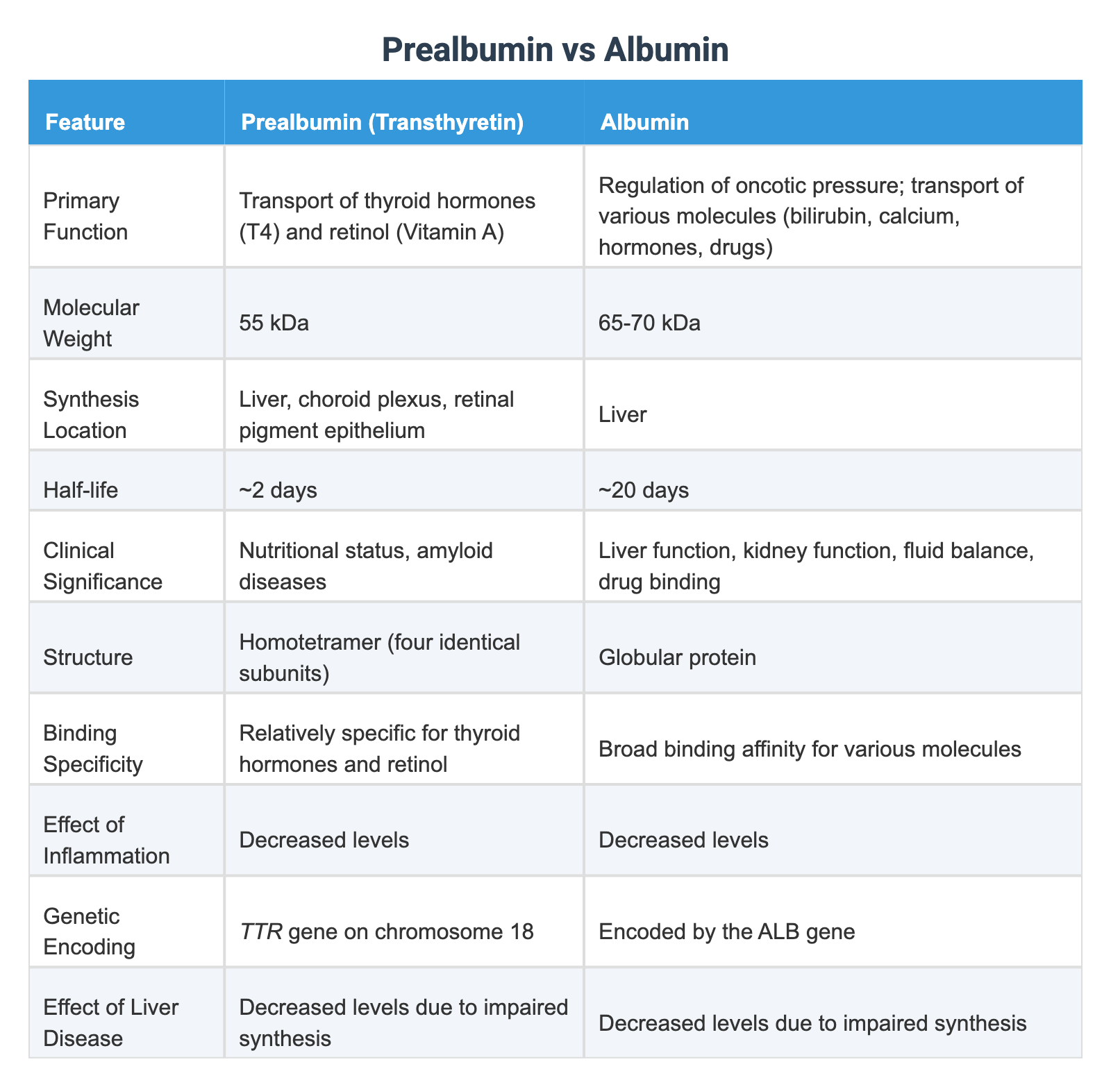 Prealbumin vs Albumin