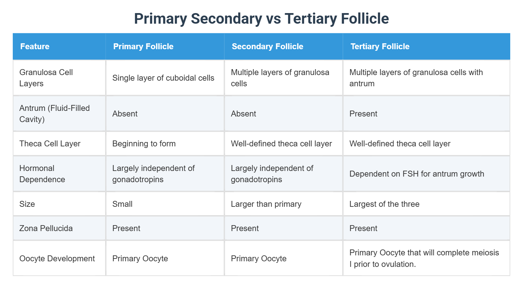 Primary Secondary vs Tertiary Follicle