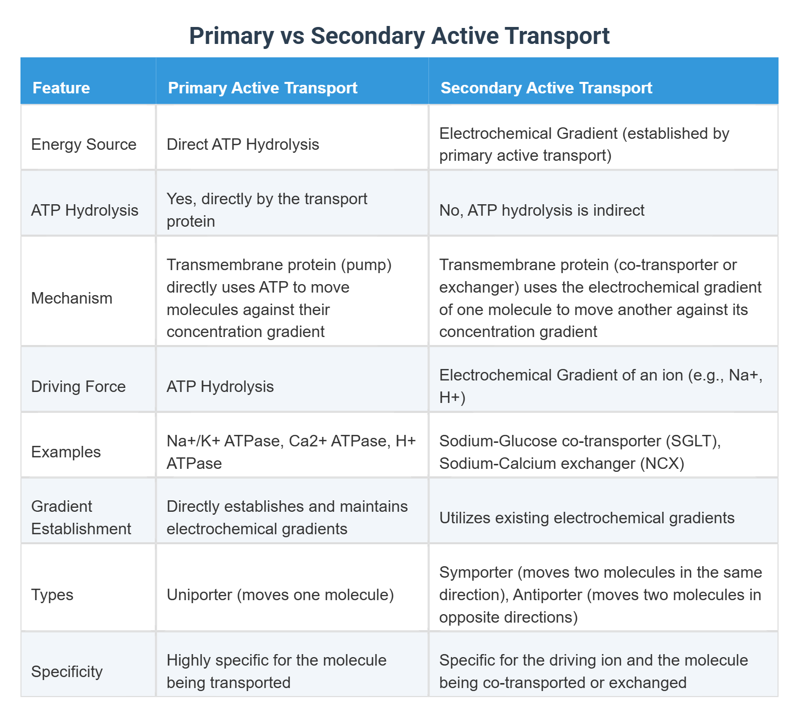Primary vs Secondary Active Transport
