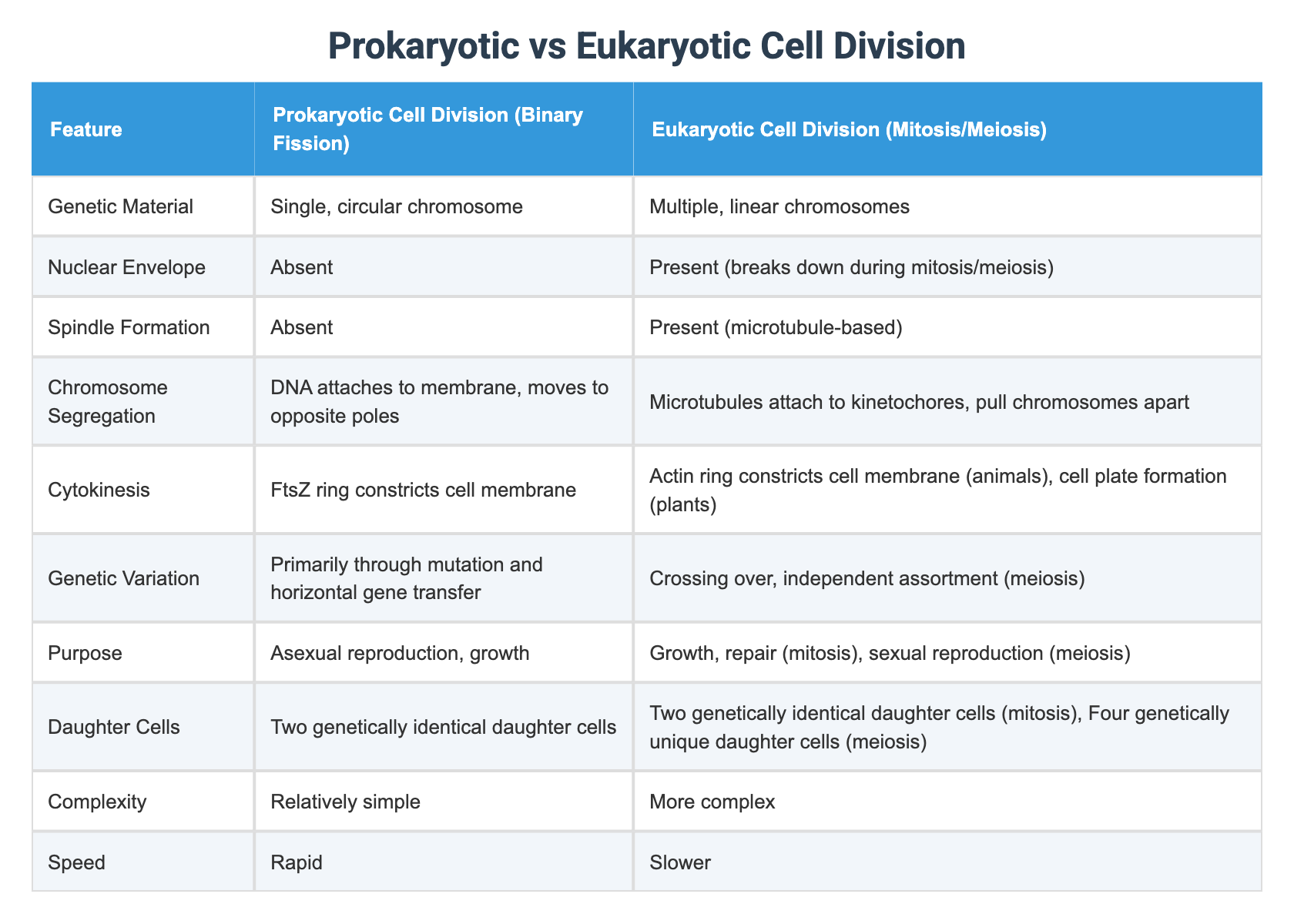 Prokaryotic vs Eukaryotic Cell Division