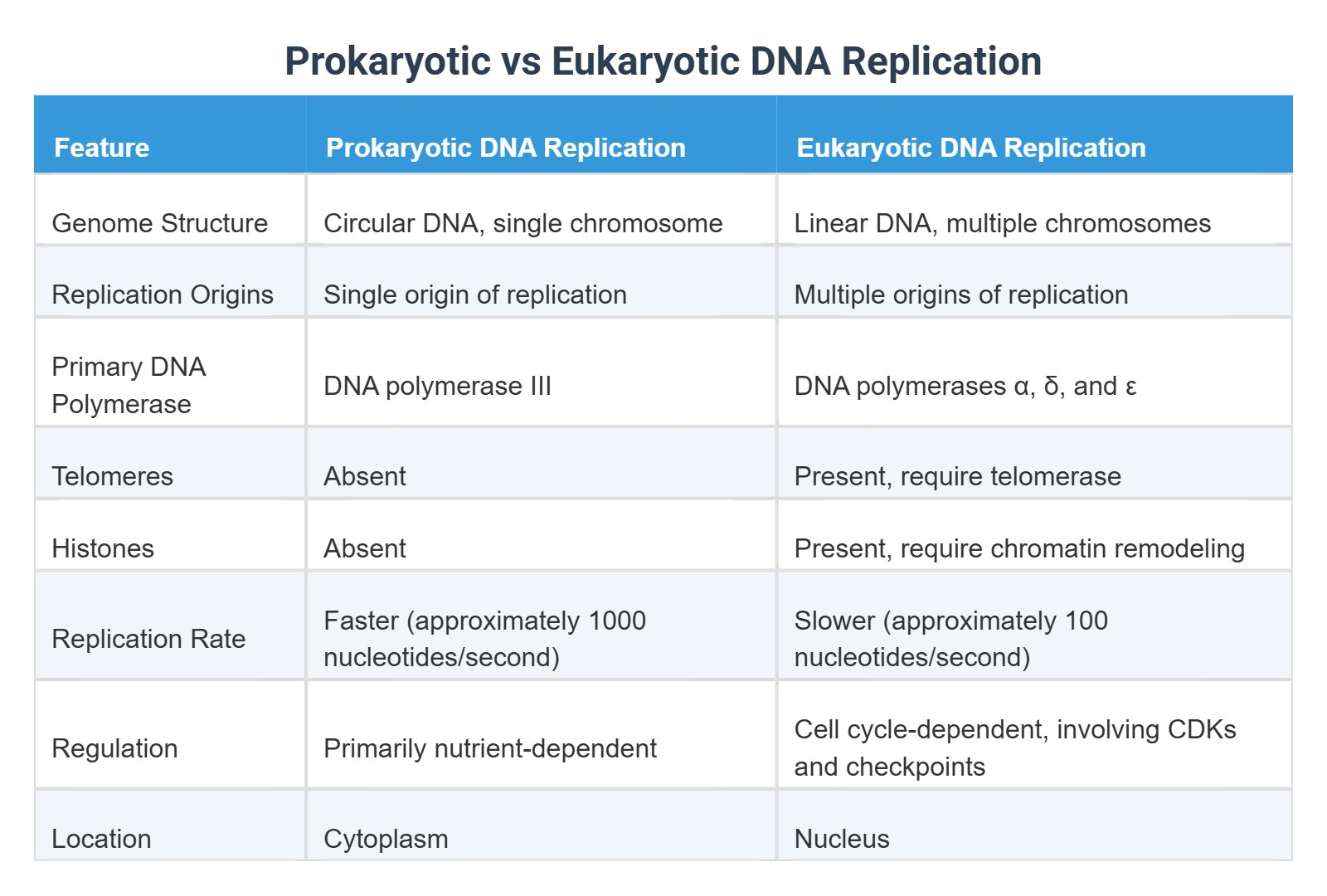 Prokaryotic vs Eukaryotic DNA Replication