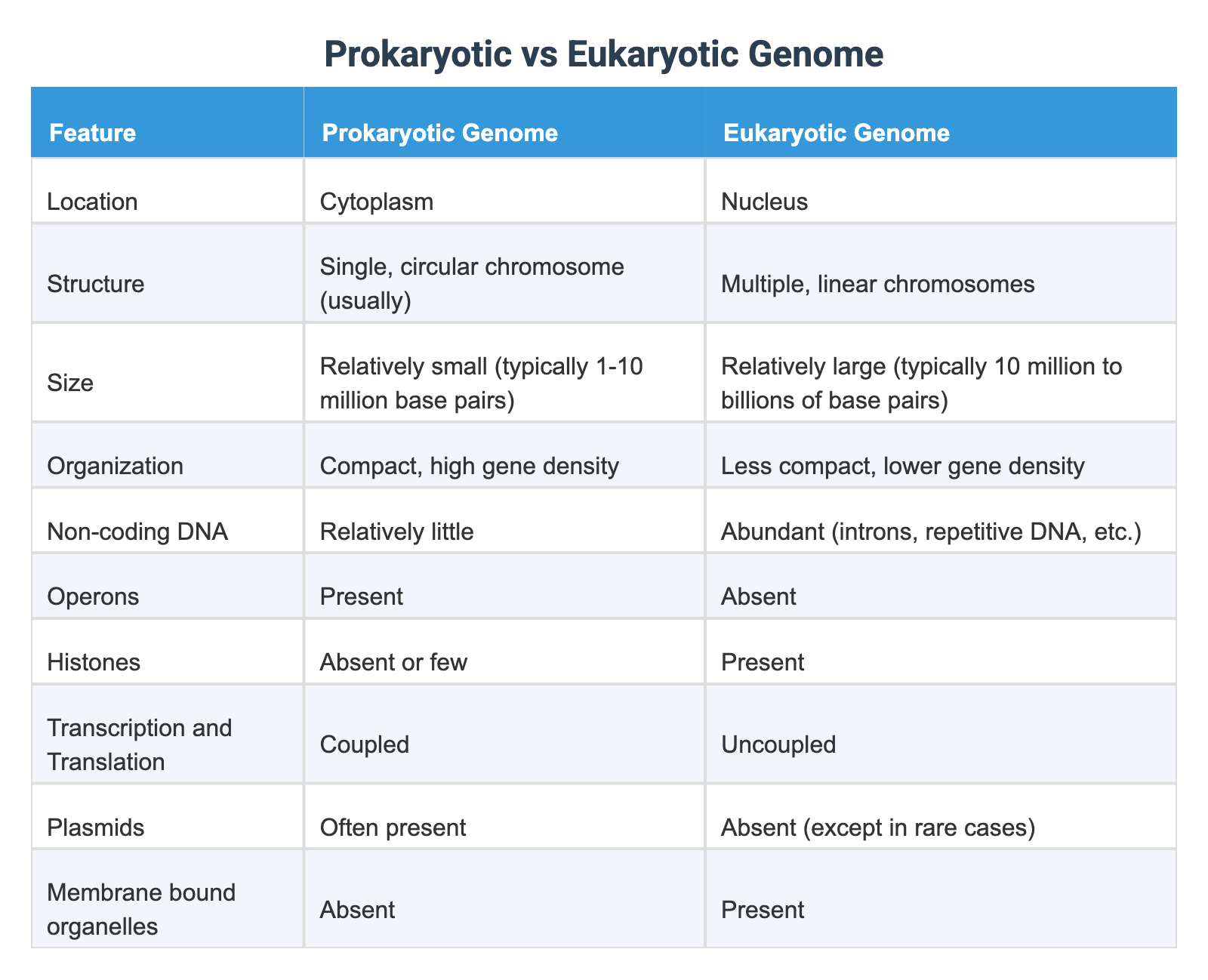 Prokaryotic vs Eukaryotic Genome