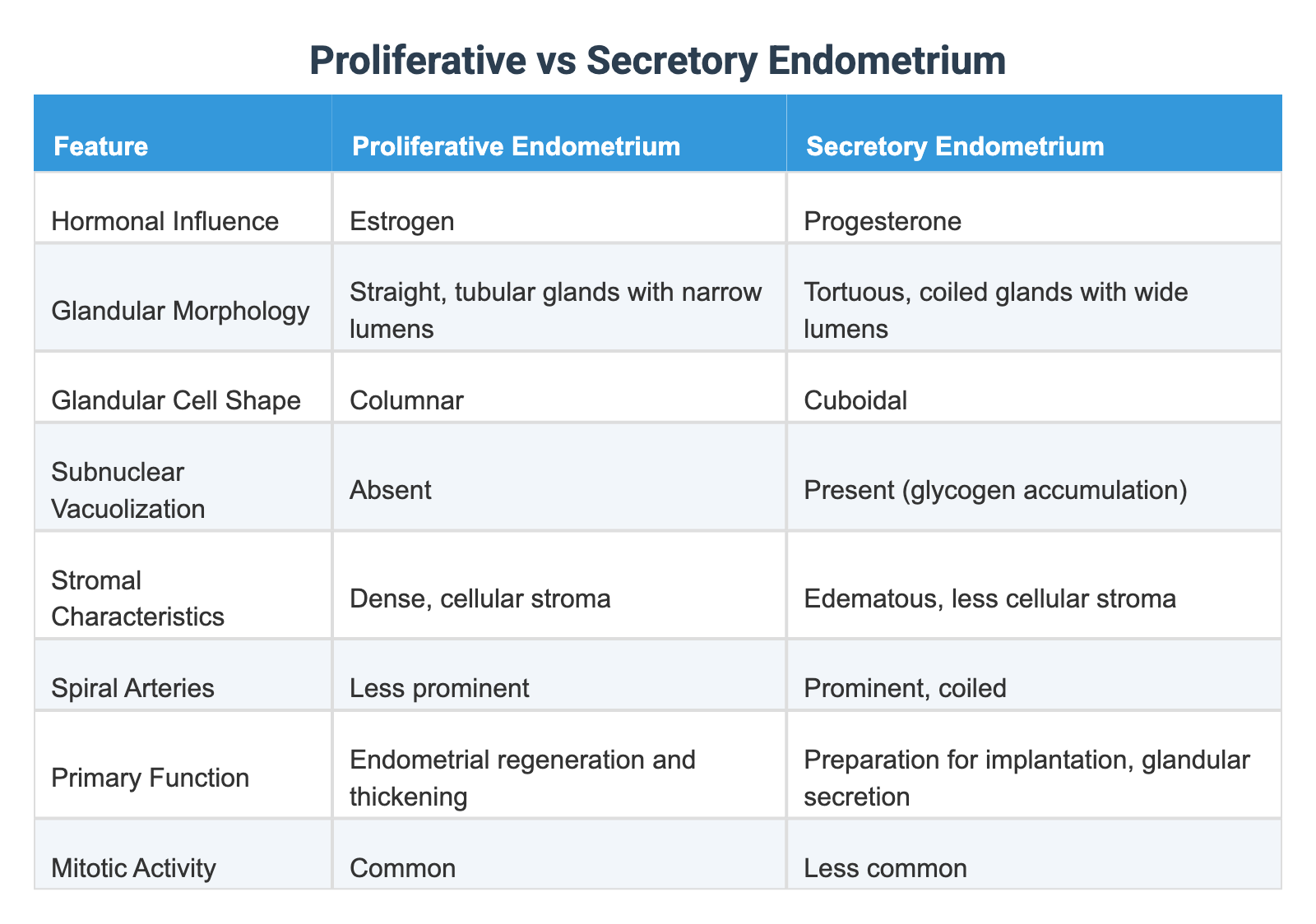 Proliferative vs Secretory Endometrium
