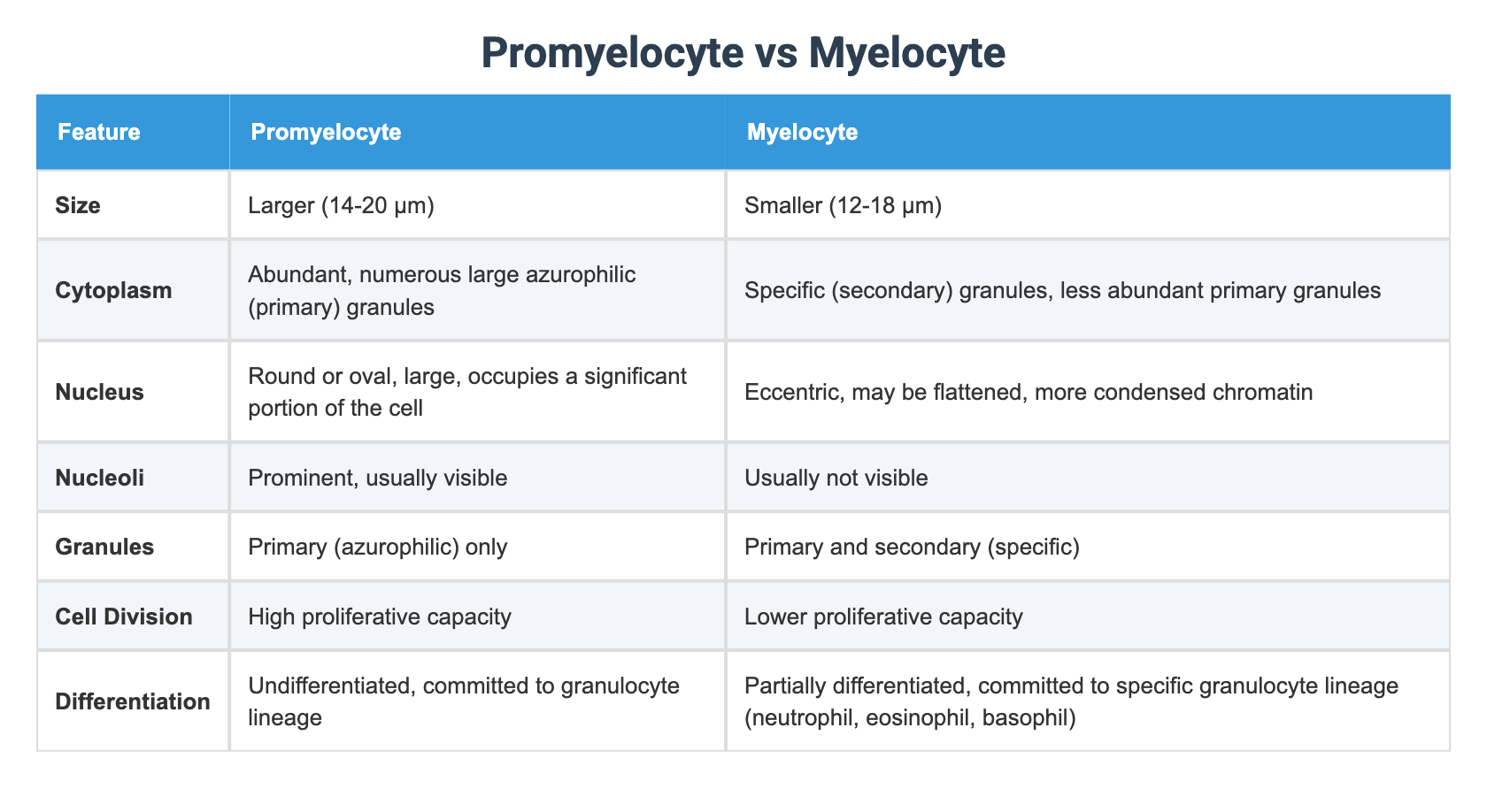 Promyelocyte vs Myelocyte