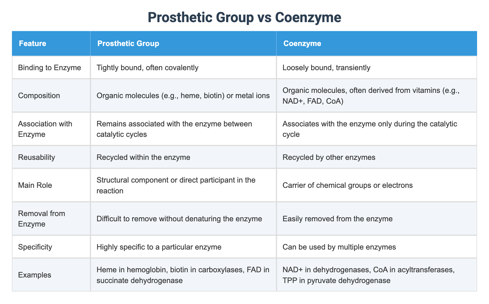 Prosthetic Group vs Coenzyme