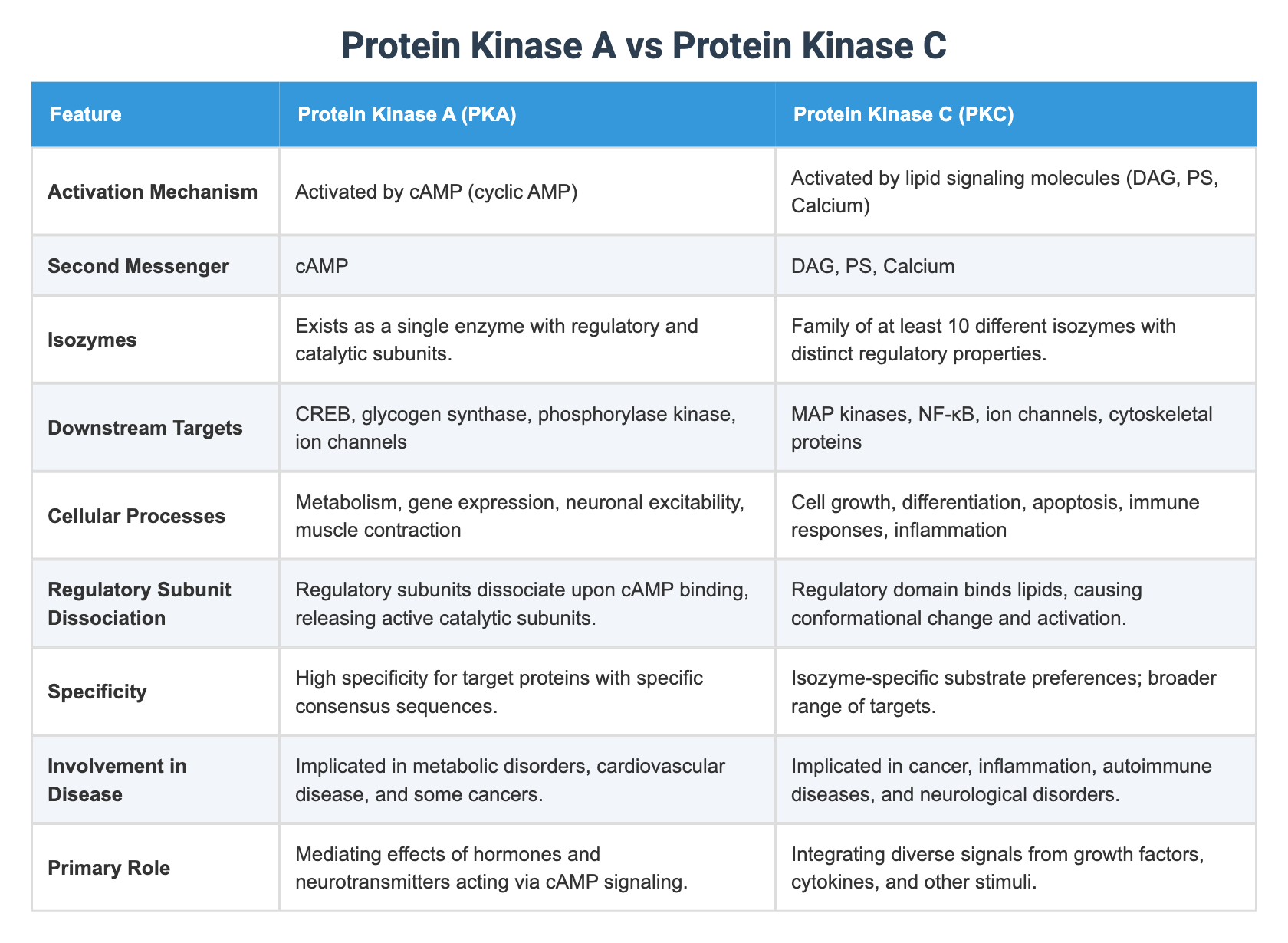 Protein Kinase A vs Protein Kinase C