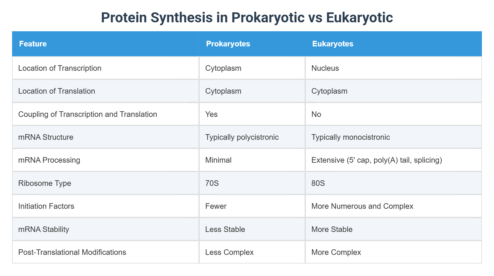 Protein Synthesis in Prokaryotic vs Eukaryotic