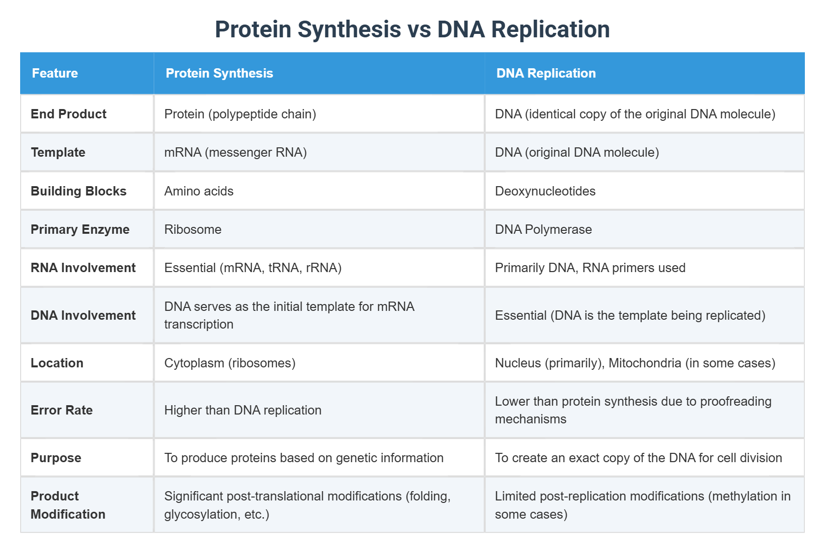 Protein Synthesis vs DNA Replication