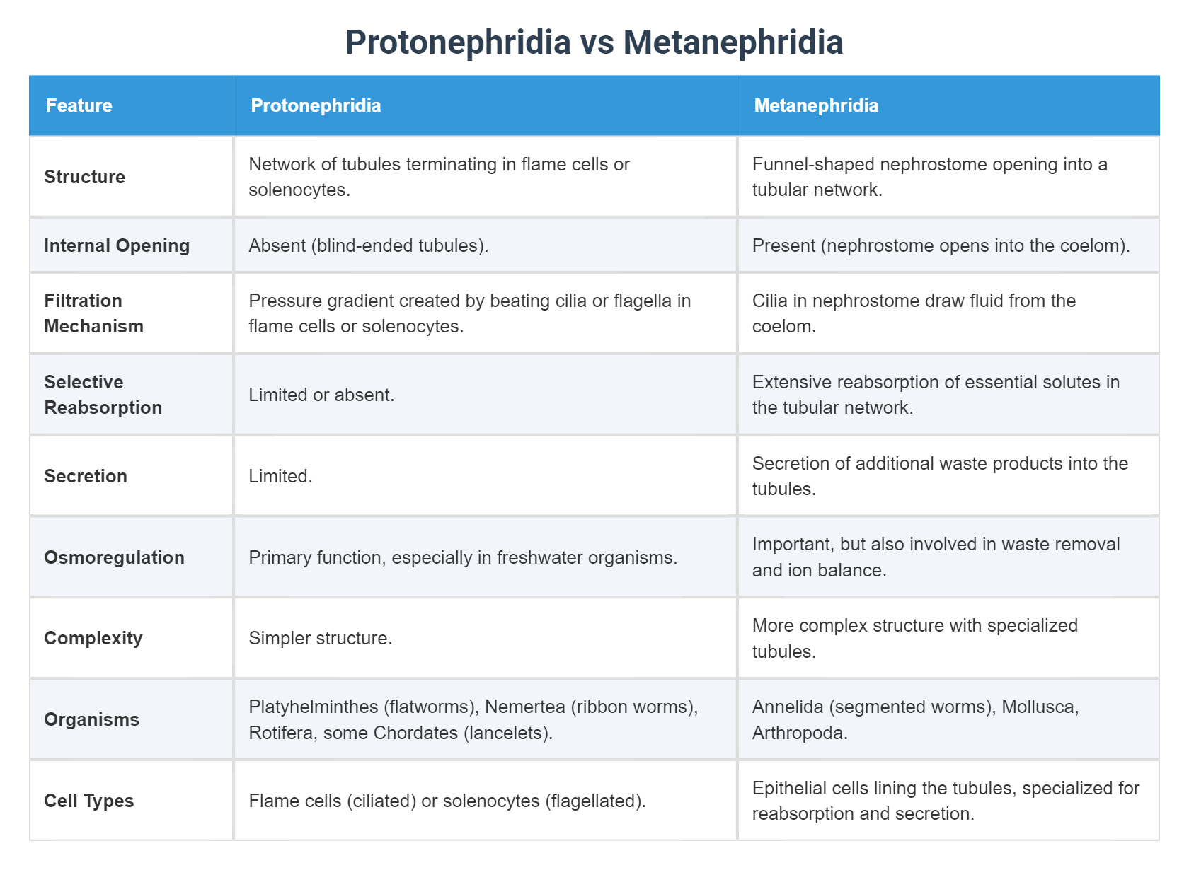 Protonephridia vs Metanephridia