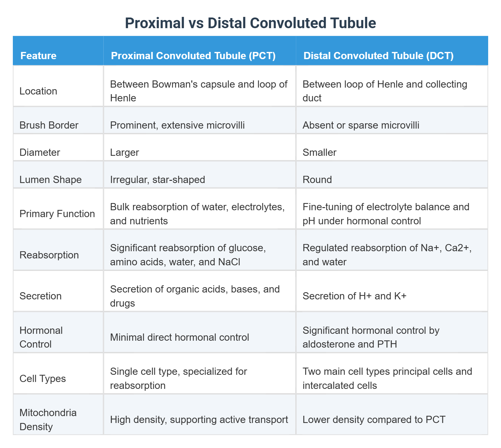 Proximal vs Distal Convoluted Tubule