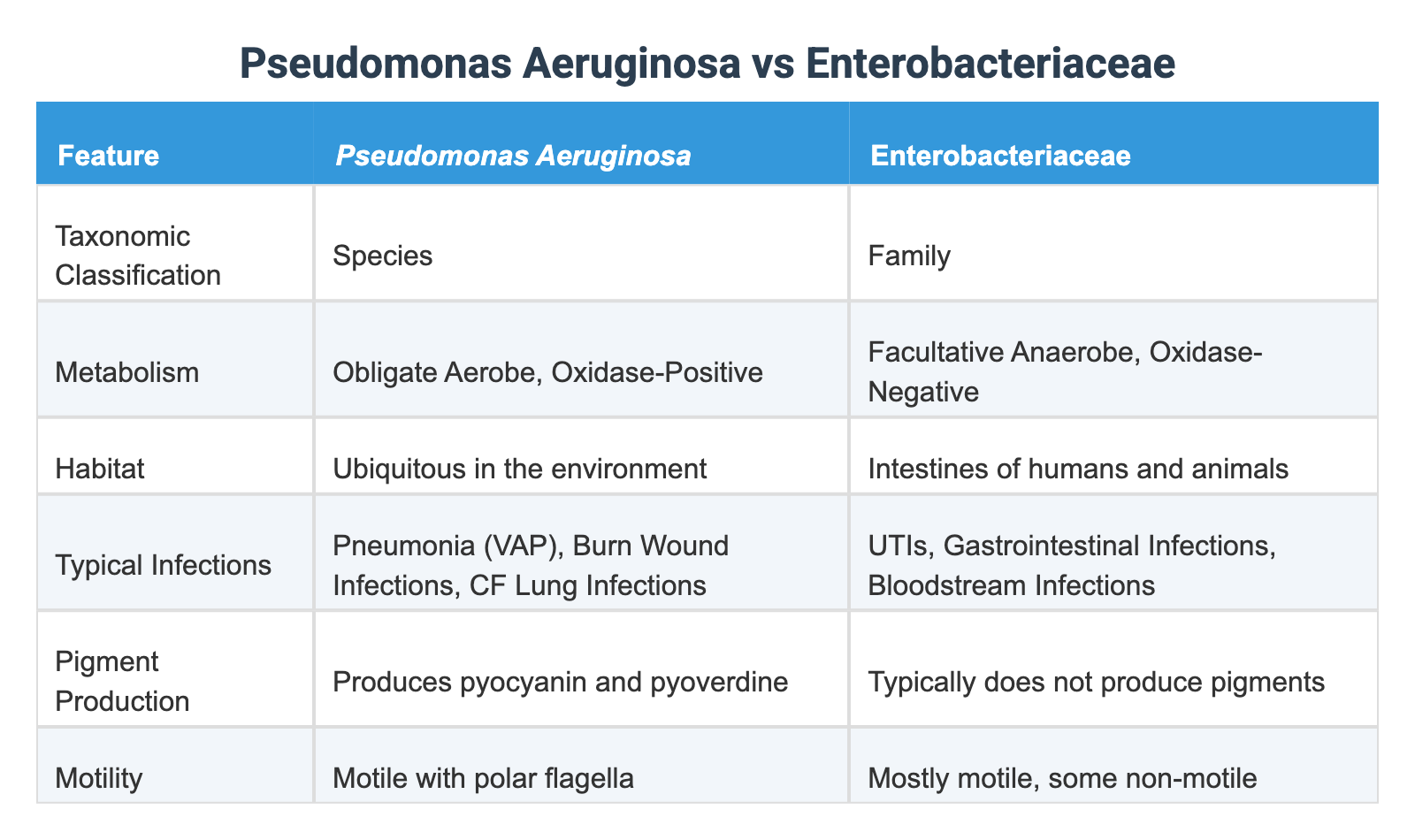 Pseudomonas Aeruginosa vs Enterobacteriaceae