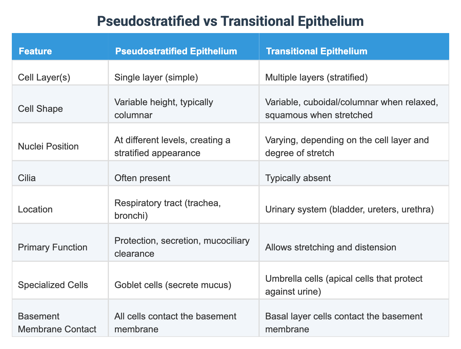 Pseudostratified vs Transitional Epithelium