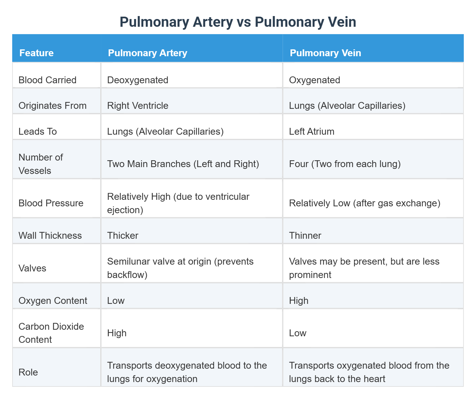 Pulmonary Artery vs Pulmonary Vein