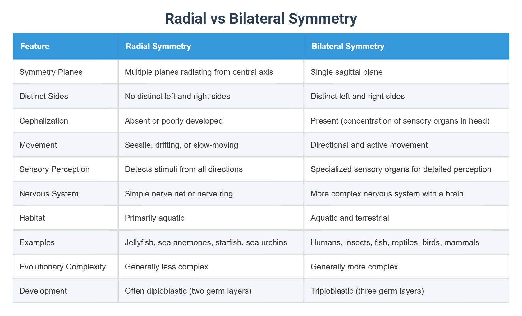 Radial vs Bilateral Symmetry