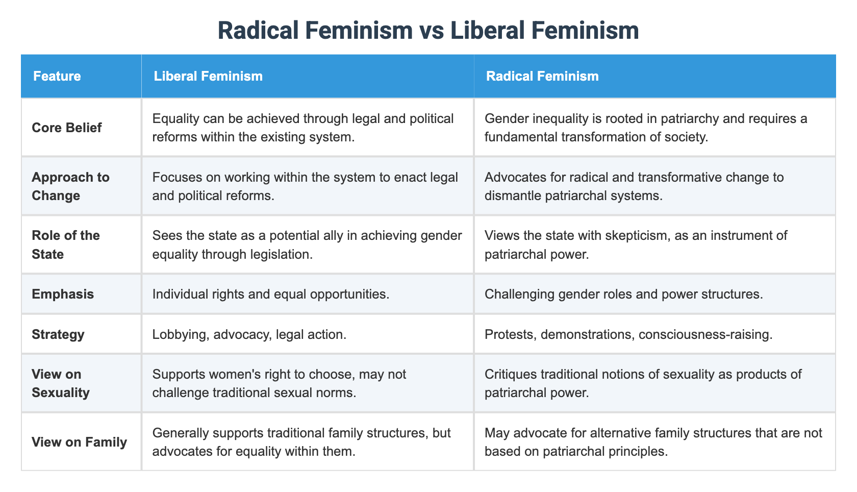 Radical Feminism vs Liberal Feminism